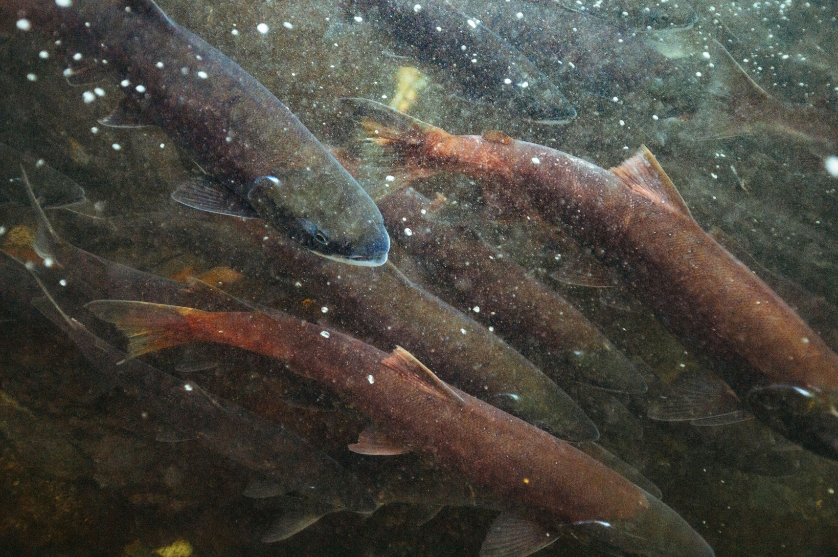 KEN ETZEL | Textures | 1